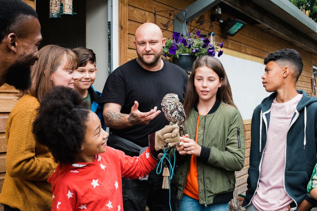 Why You Need a Homeschool Support Group - Homeschooling in America